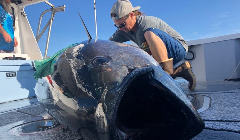 Wicked Tuna Cast Salaries and Net Worth Revealed: What the Captains and ...