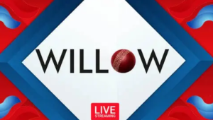 Willow TV Channel: 5 facts to know before you subscribe - StreamDiag